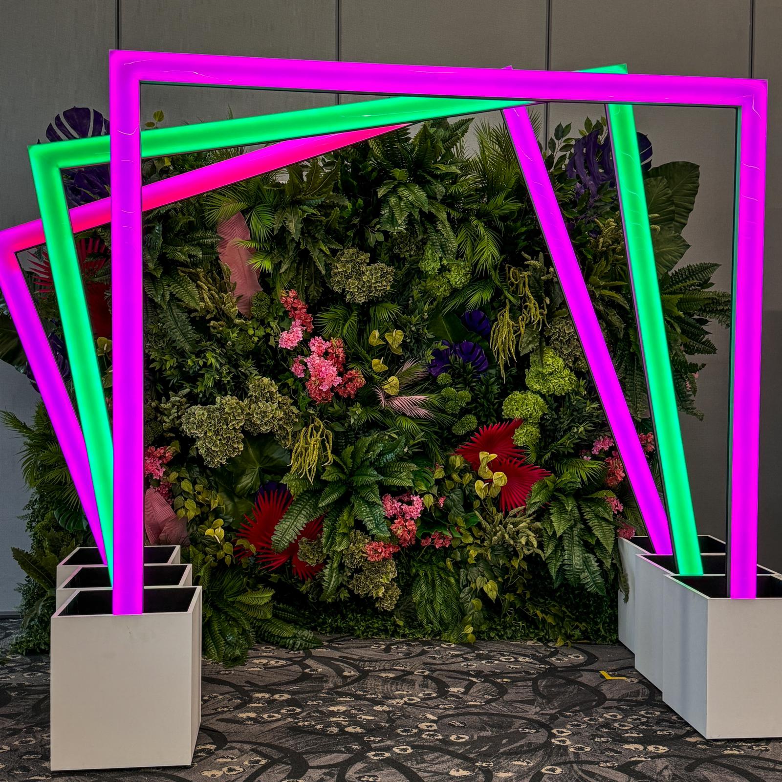 About us – TWIN FLORA